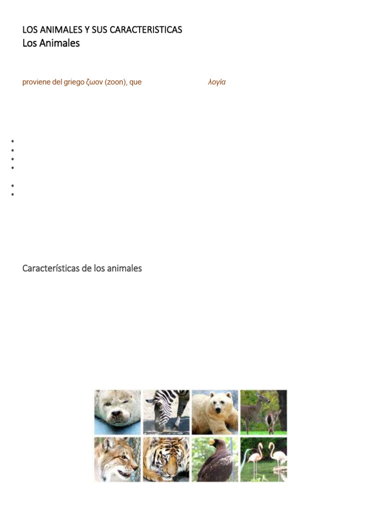 Los Animales y Sus Caracteristicas | PDF | Zoología | Biología