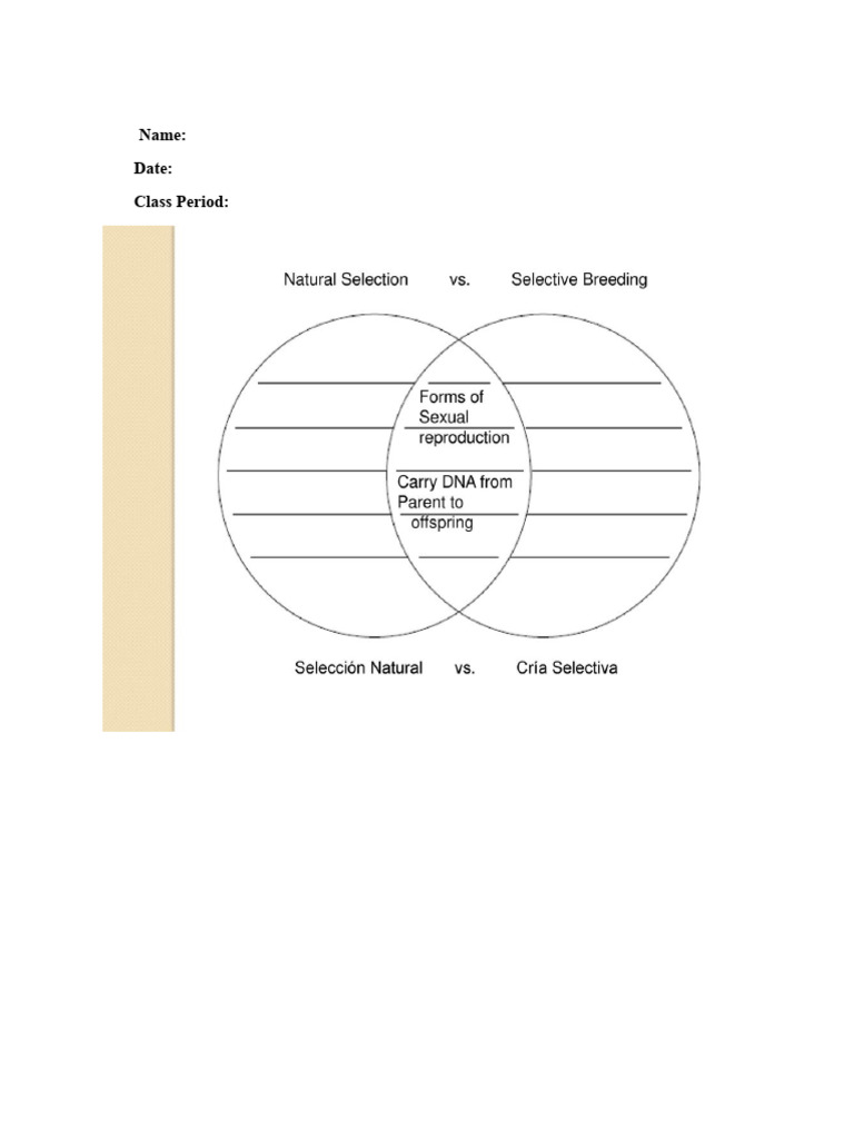 Natural Selection and Selective Breeding Exit Ticket | PDF