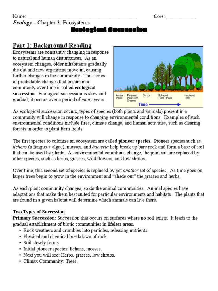 Understanding Ecological Succession | PDF | Organisms | Community Ecology