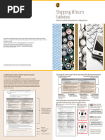 Lithium Labels UN3091 | PDF | Rechargeable Battery | Physical Sciences