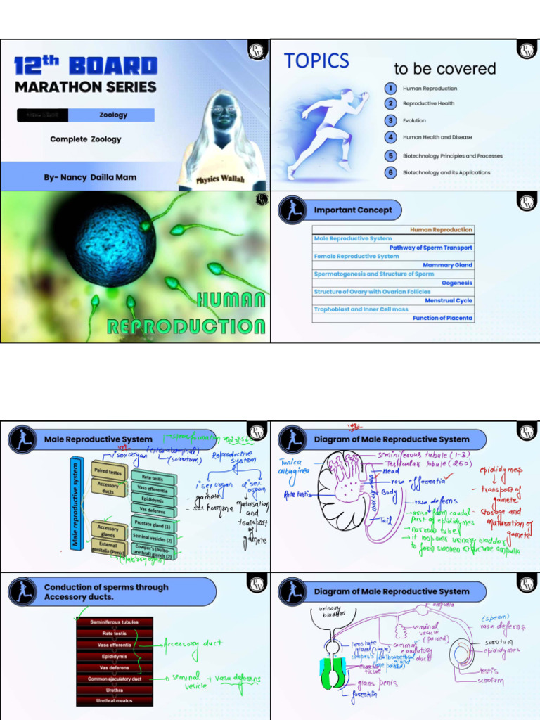 Complete Zoology - Class Notes - CLASS-12TH MARAT - 250130 - 180138 ...
