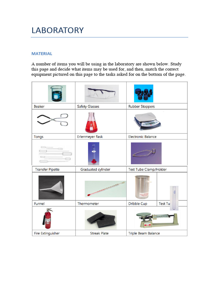 LABORATORY ACTIVITIES | PDF