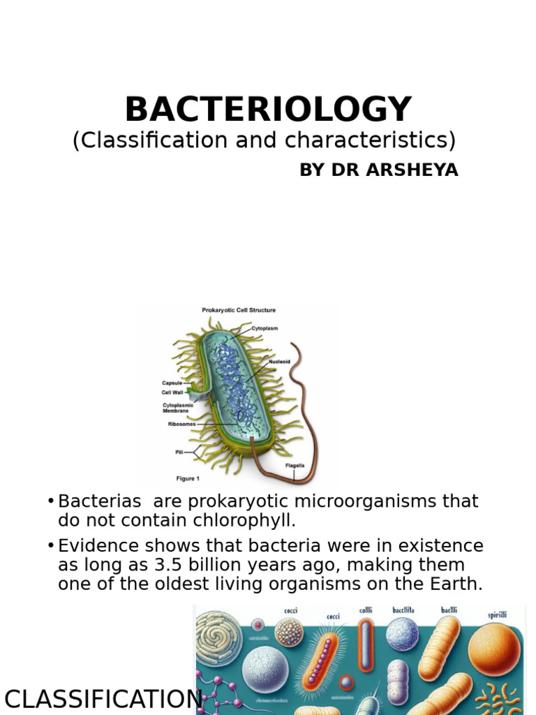 Bacteriology: Classification & Traits | PDF