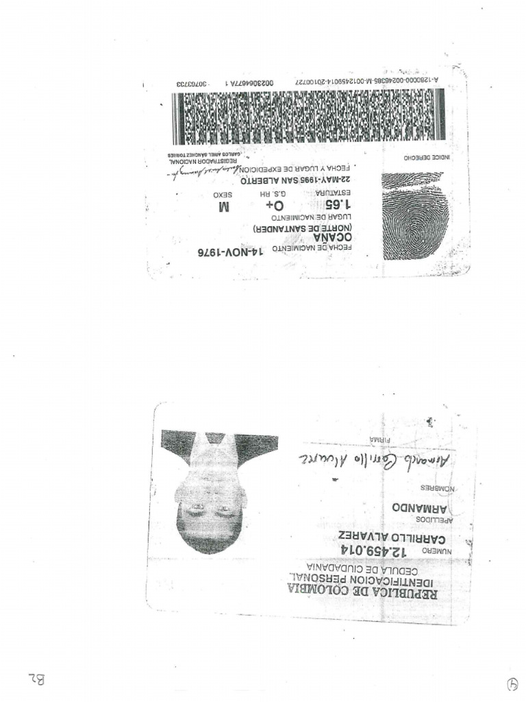 Armando Carrillo | PDF