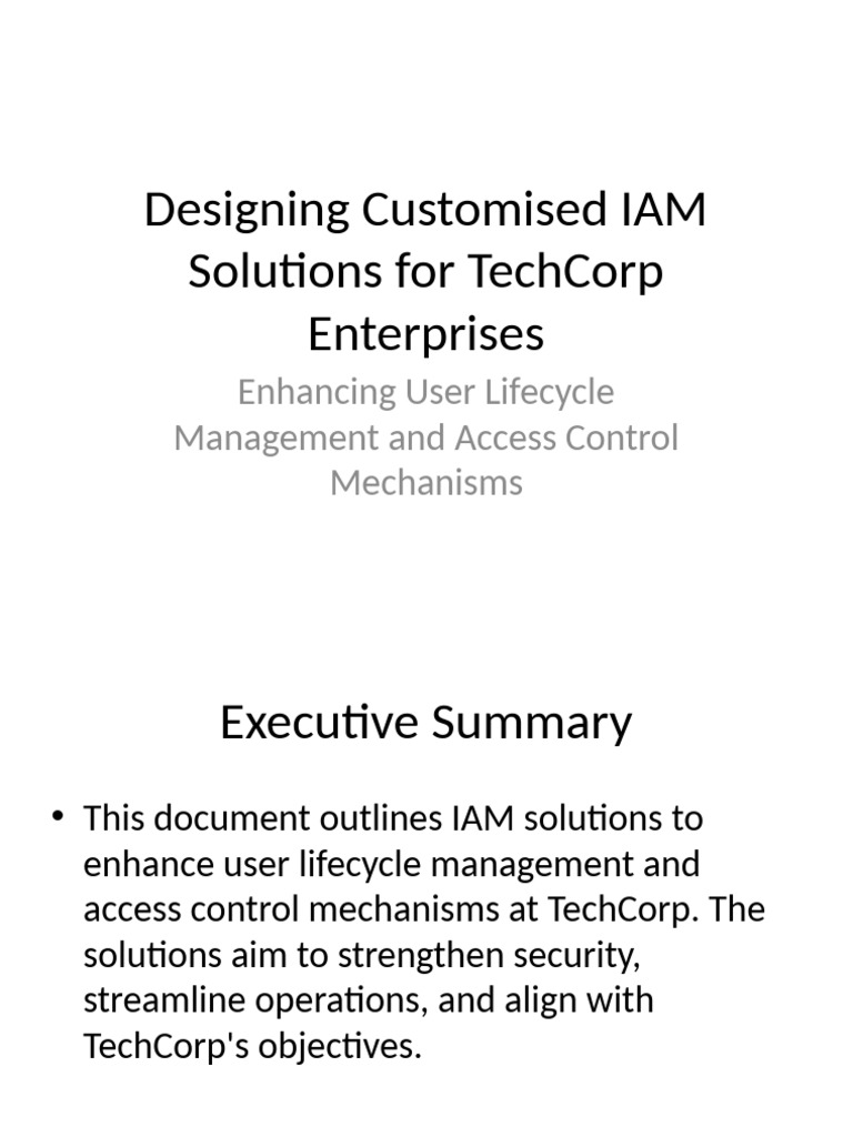 TechCorp IAM Solutions PDF | PDF