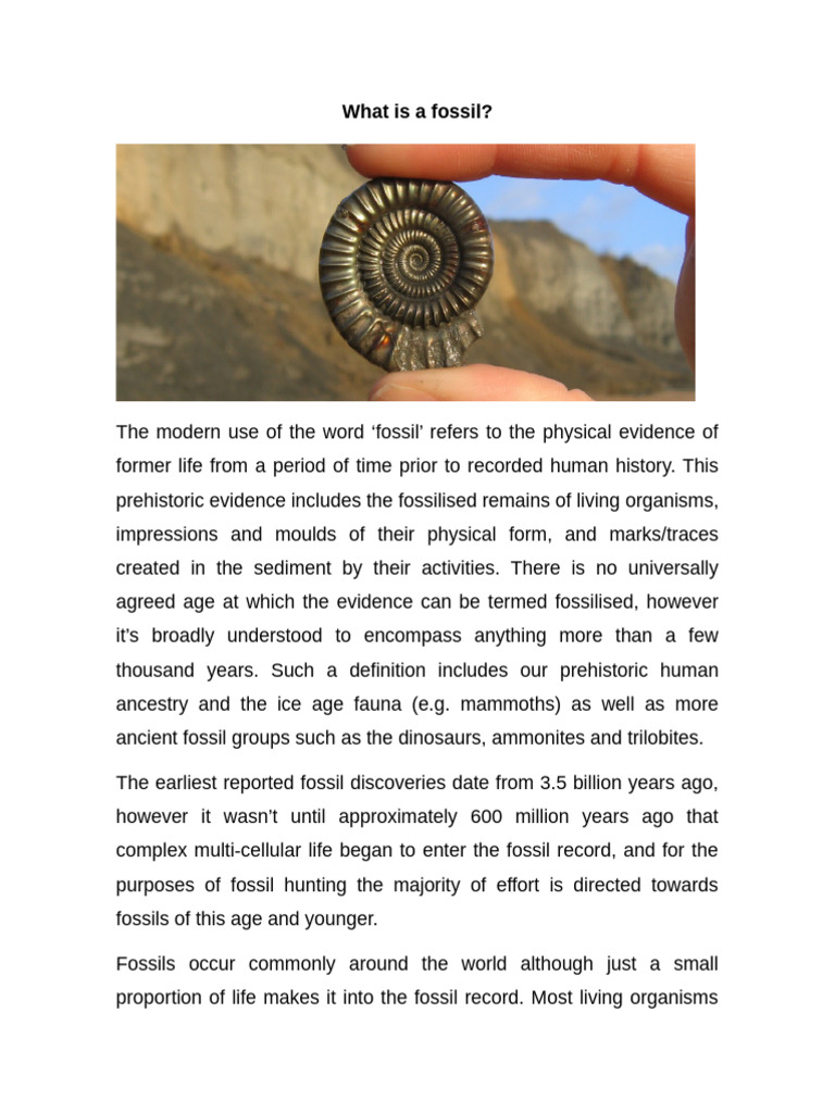 What is a fossil | PDF | Fossil | Sediment