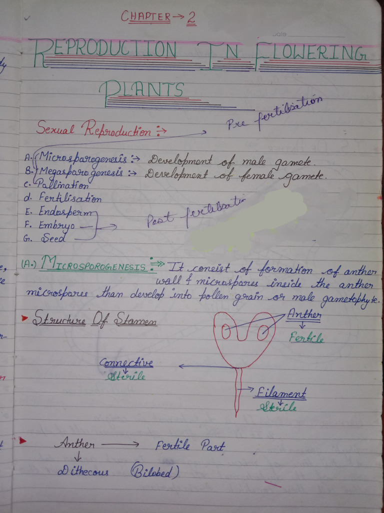 Reproduction in Flowering Plants Handwritten Notes | PDF