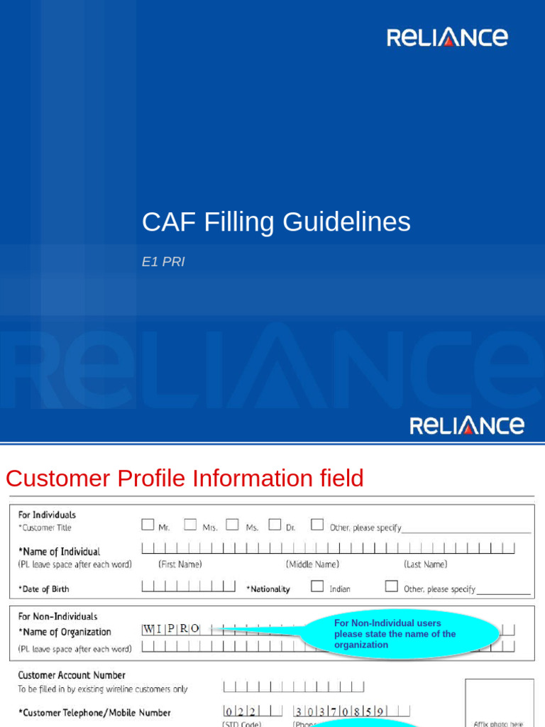 CAF Submission Guidelines for E1 PRI | PDF | Identity Document