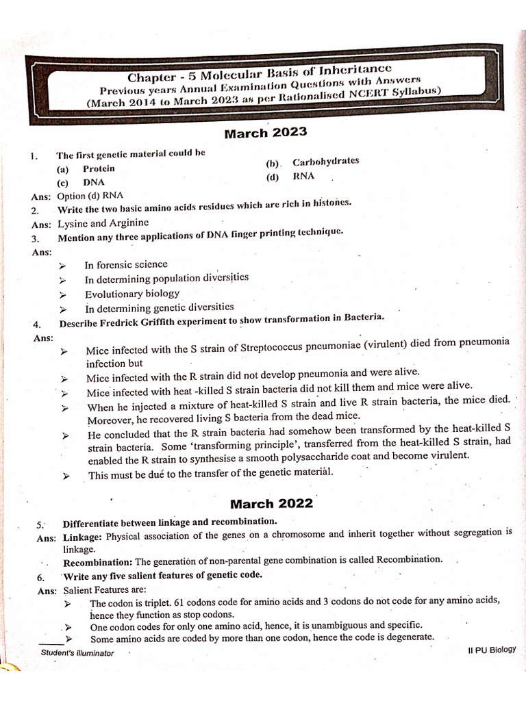 MOLECULAR BASIS OF INHERITANCE (1) | PDF