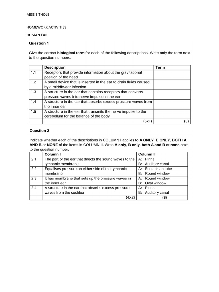 Human Ear Homework Activities (A) | PDF