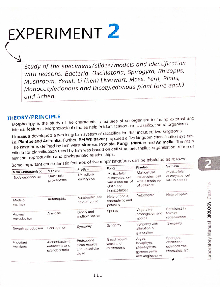 Study of Specimens Slides Models | PDF
