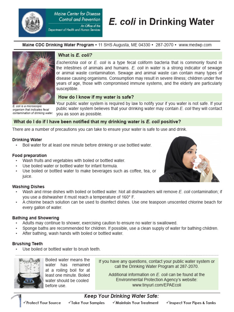 Fact Sheet Ecoli | PDF | Drinking Water | Water