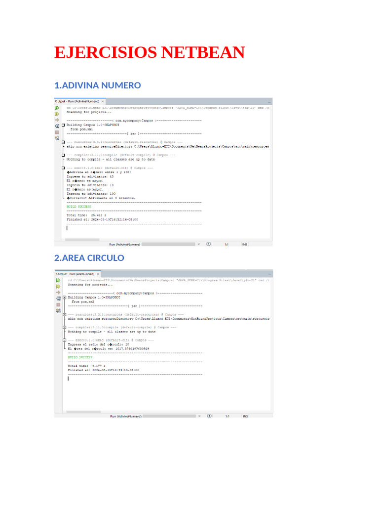 Ejercicios de Programación en NetBeans | PDF