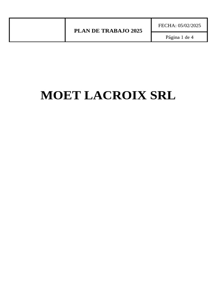 Plan Anual 2025 MOET LACROIX SRL | PDF