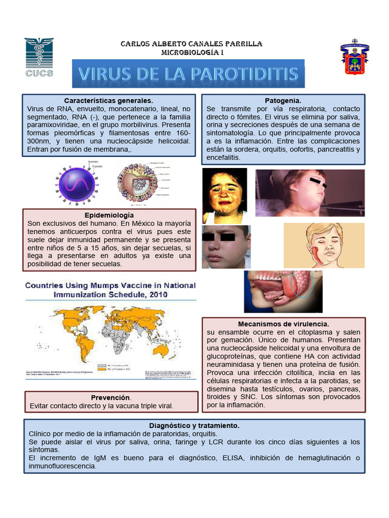 Virus de La Parotiditis | PDF | Virus | Ciencias de la Salud