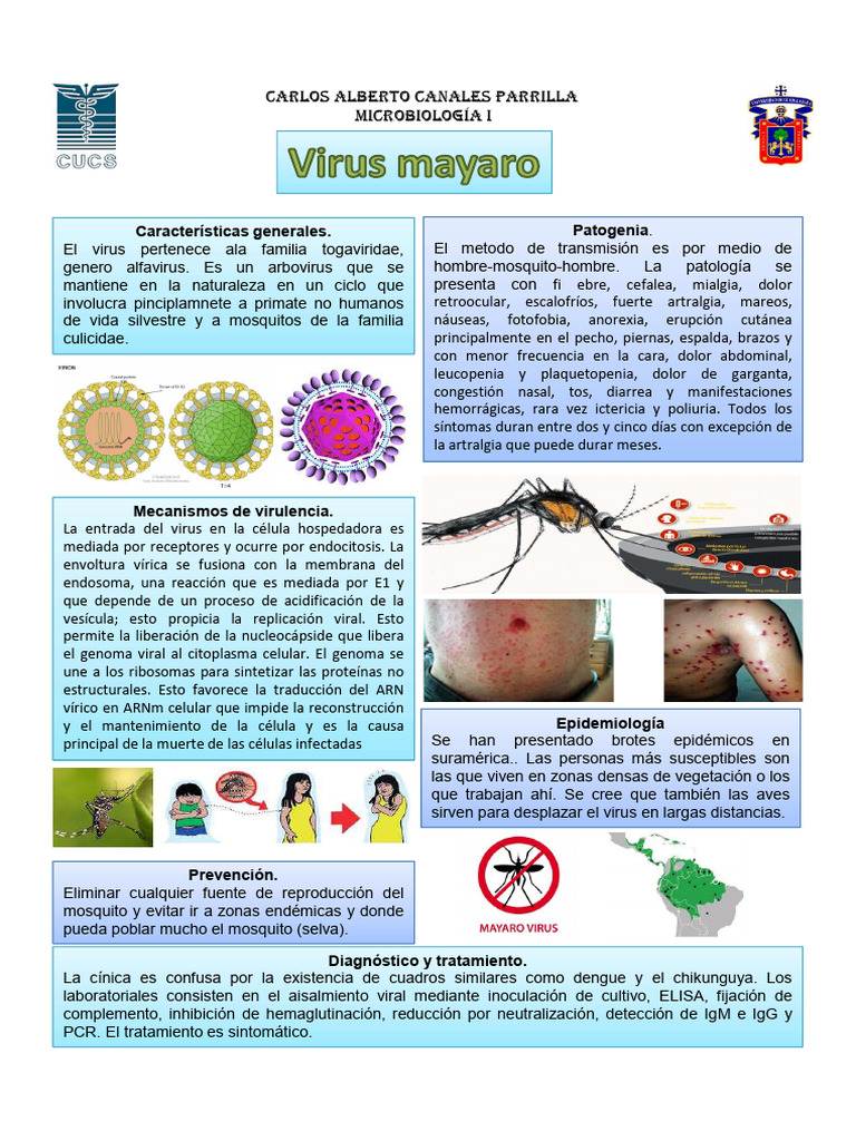 Virus Mayaro | PDF | Virus | Inmunología