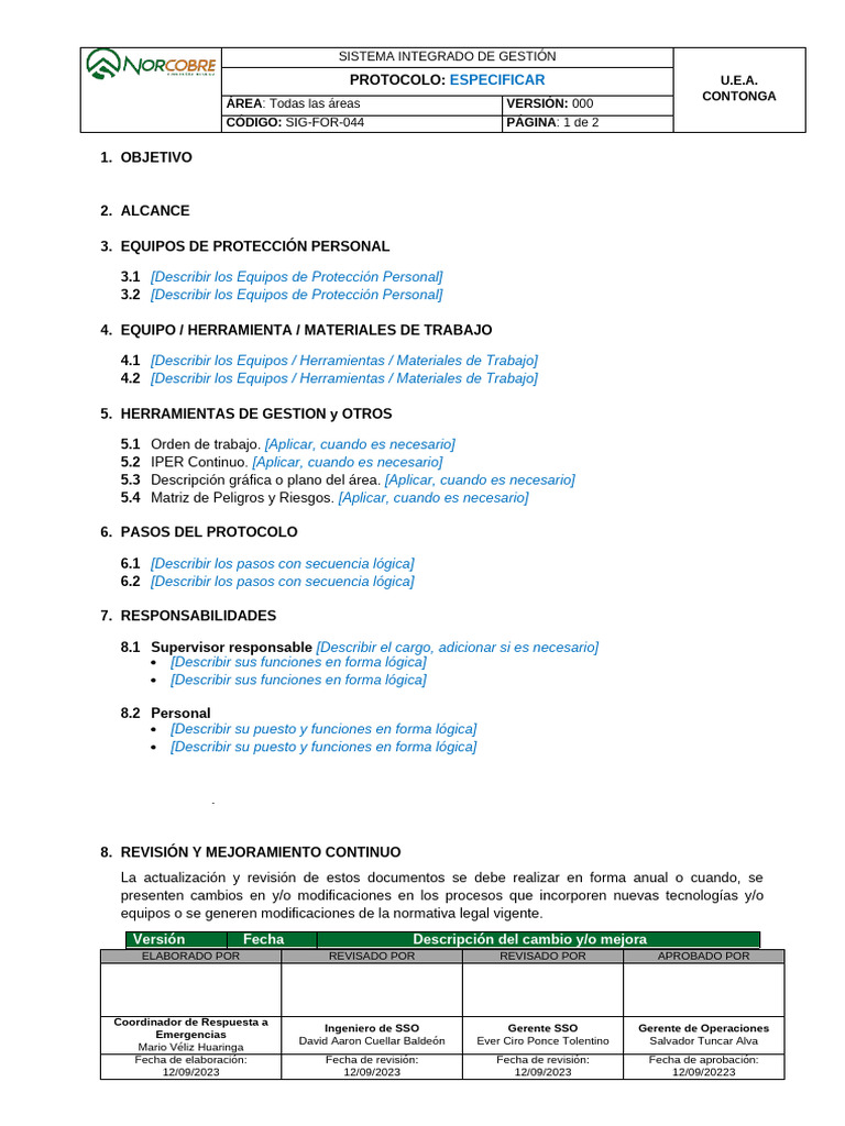 SIG-FOR-044 Formato de Protocolo | PDF | Informática | Software