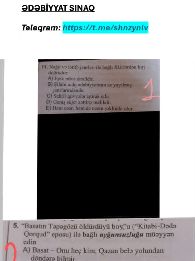 ƏDƏBİYYAT SINAQ.BLOK | PDF