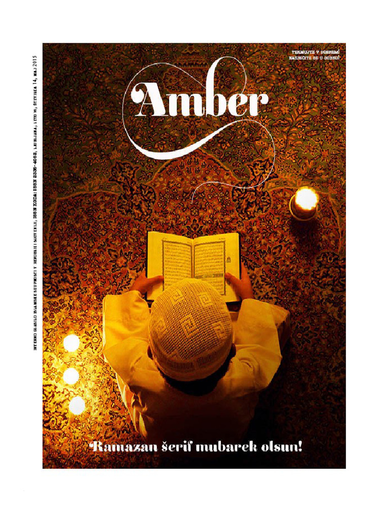 amber_maj_2015 (1) | PDF