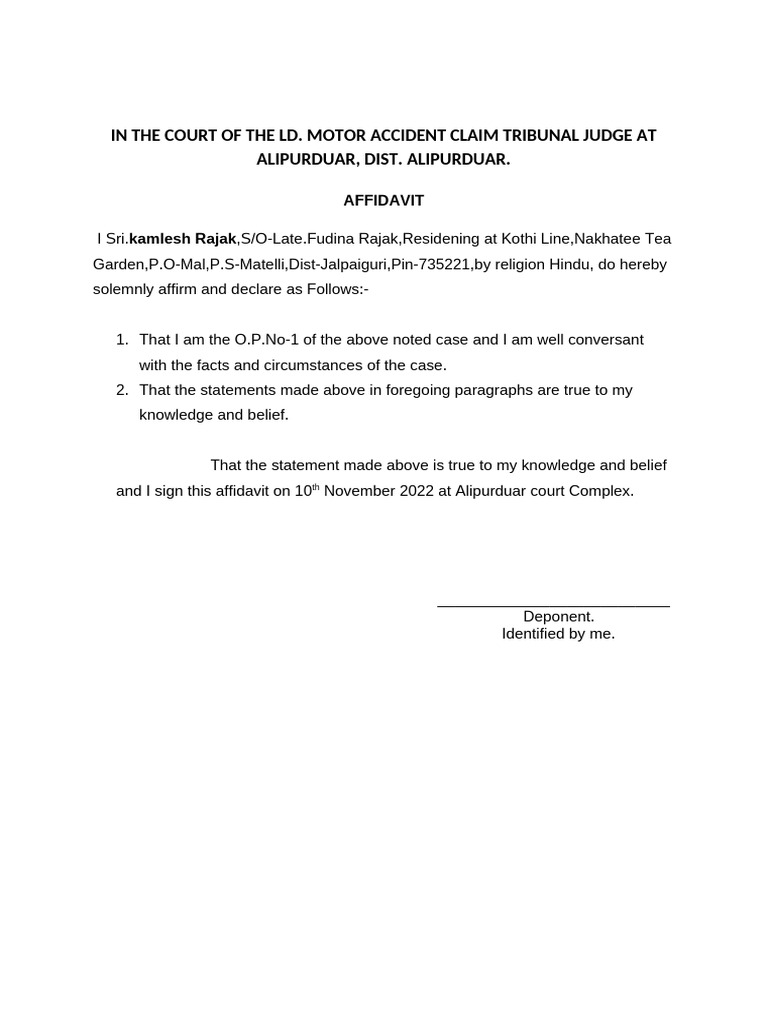 Macc Affidavit in Chief | PDF