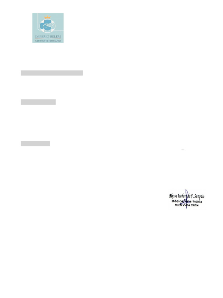 Ecg Lilly 17012025 Poodle Pdf Ondas