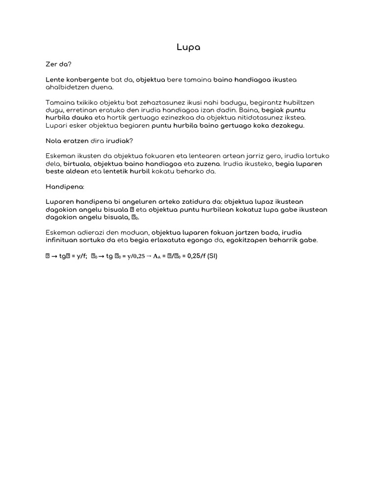 TEORIA 4 - LUPA | PDF