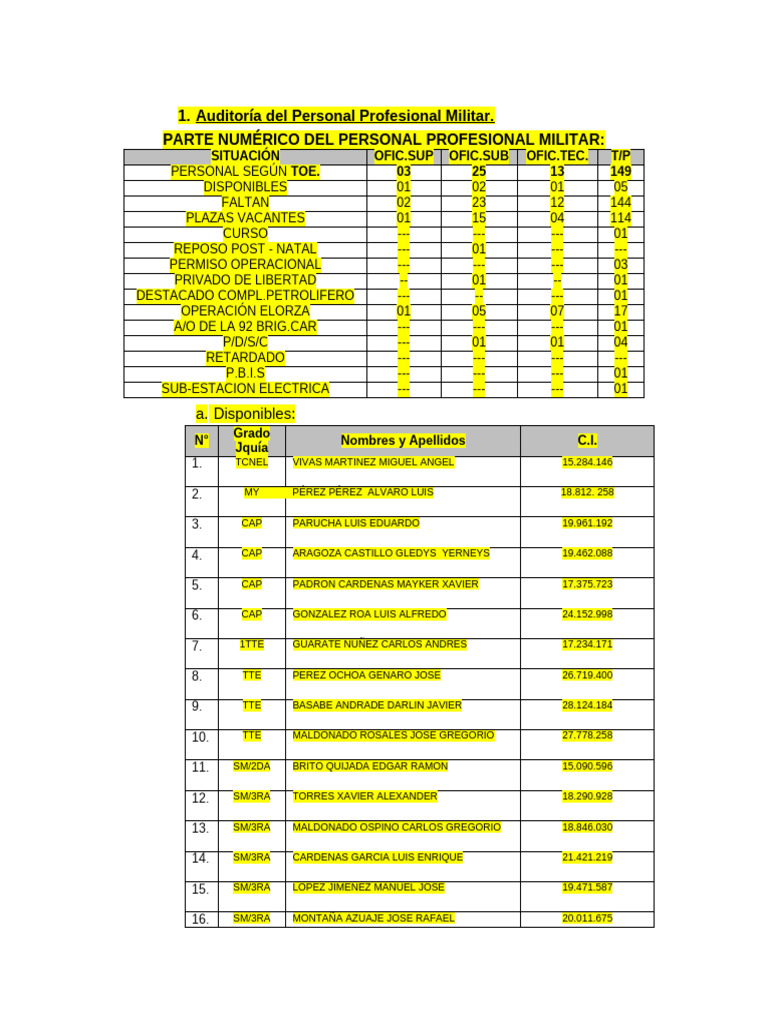 Auditoría Del Personal 922 | PDF