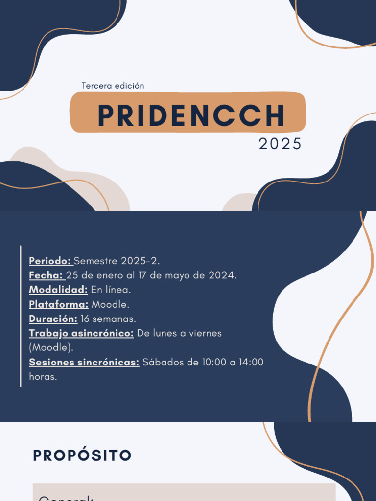 Copia de PRID 2025 | PDF