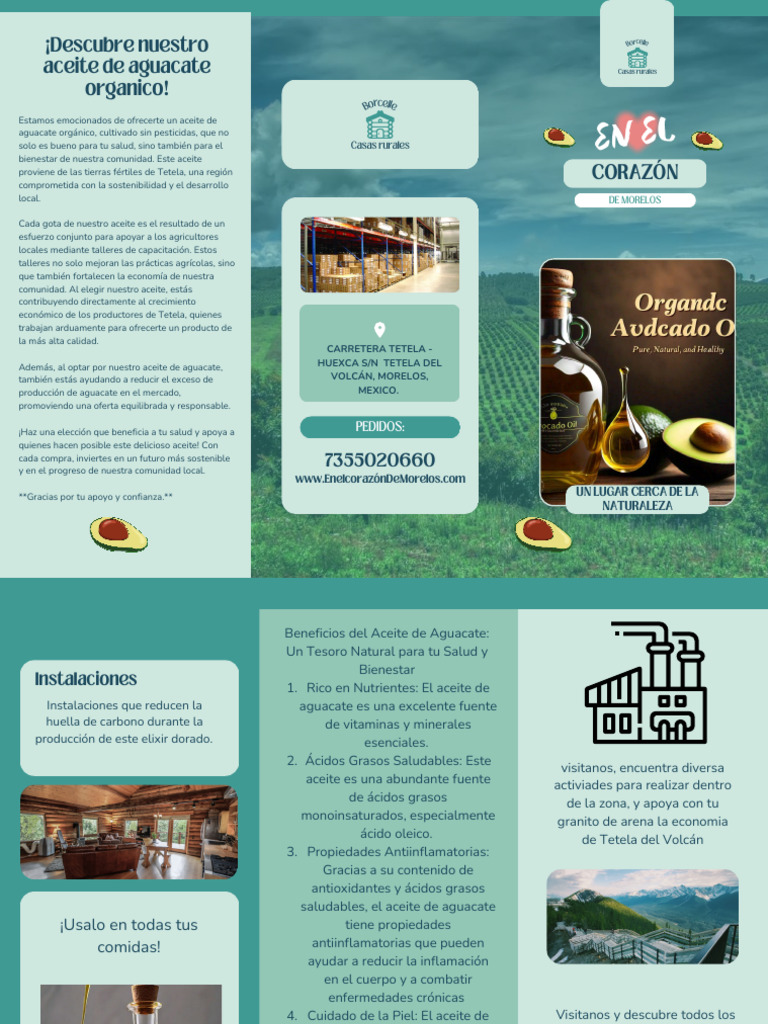 Folleto Tríptico Ofertas Alojamiento Rural Orgánico Verde PDF | PDF | Sustentabilidad | Agricultura