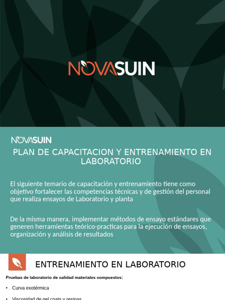 Plan de Capacitacion Laboratorio PRFV | PDF