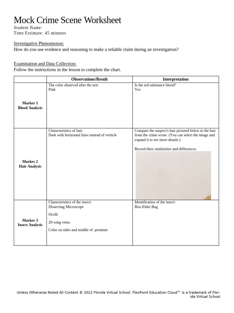 02_07_mock_crime_scene_worksheet | PDF | Crime Scene | Witness