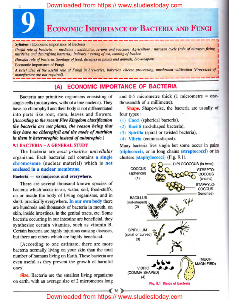 ICSE Selina Class 9 Biology Chapter 09 Economic Importance of Bacteria ...