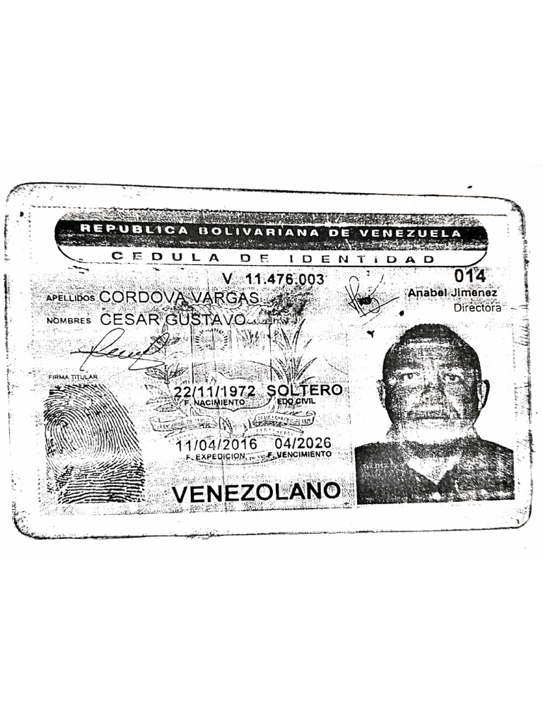 Cedula Papa Alonso | PDF