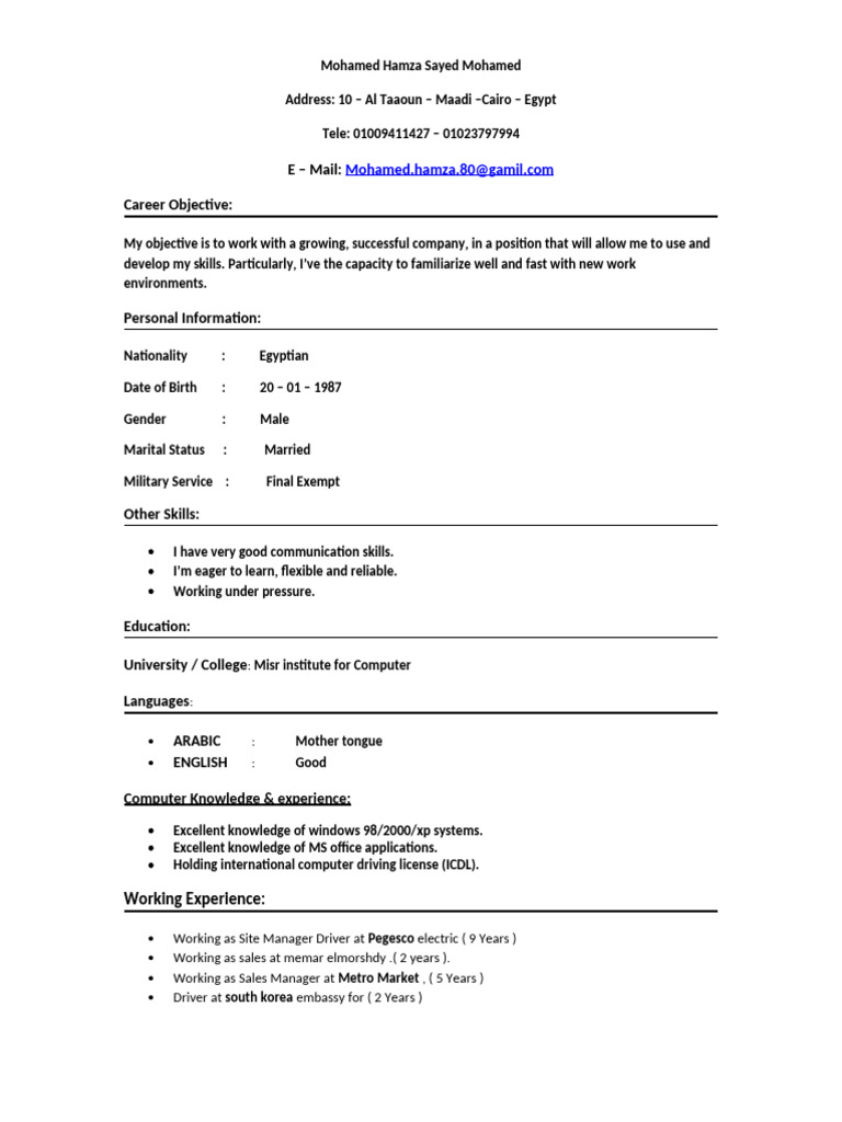 Mohamed Hamza Sayed Mohamed | PDF