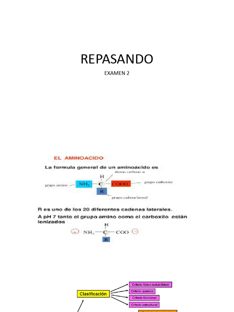 REPASANDO EXAMEN 2 (2).pptx | PDF