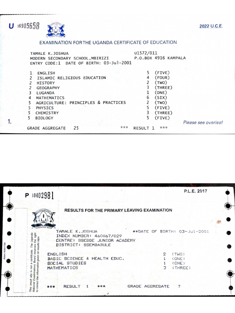 ACE Scanner - 2025 - 01 - 04 | PDF