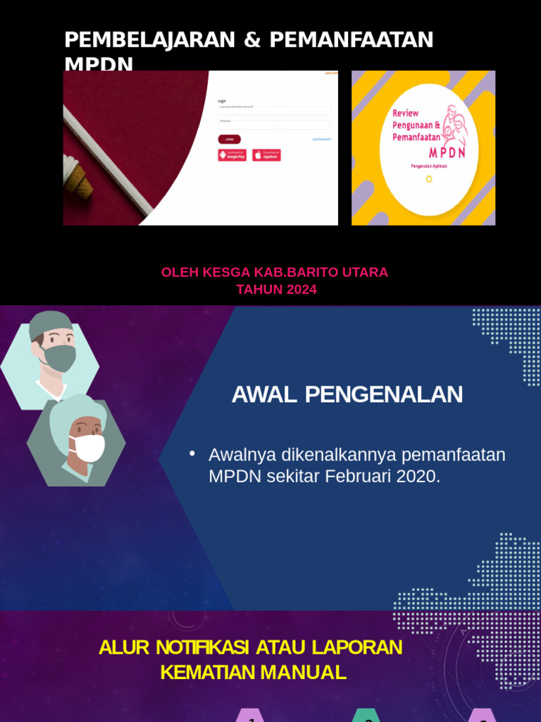 Review MPDN 2024 | PDF