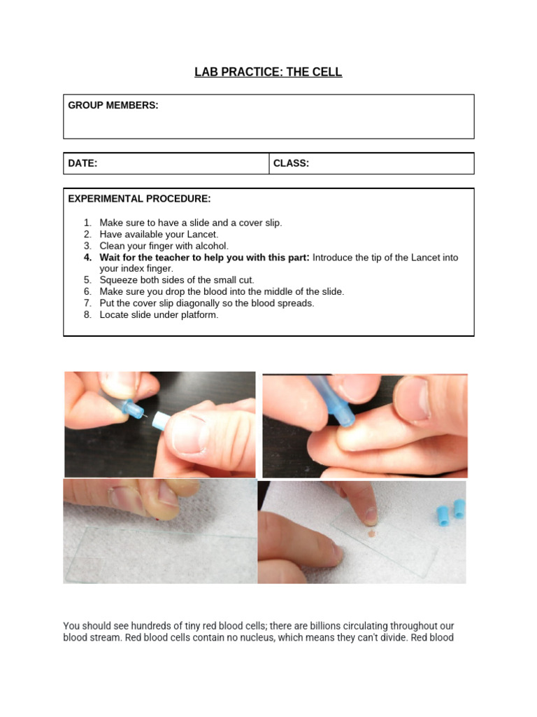 Blood Cell Examination Lab Guide | PDF