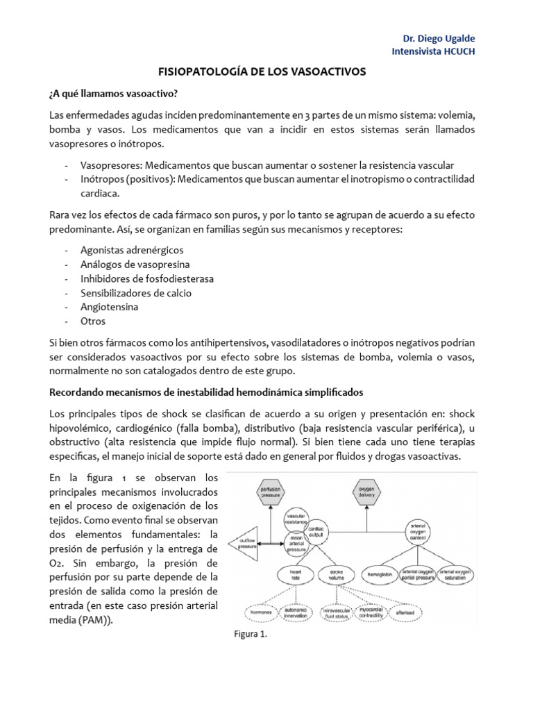 Fisiopatología de los Vasoactivos | PDF | Transducción de señales | Norepinefrina