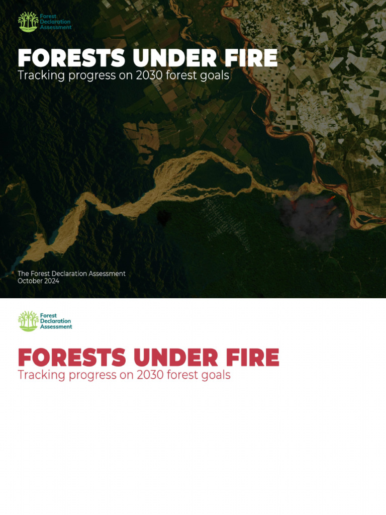 2024 Forest Declaration Assessment | PDF | Deforestation | Forests