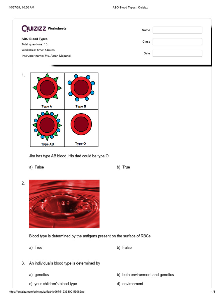 ABO Blood Types Worksheet Answers | PDF | Blood Type | Genetics