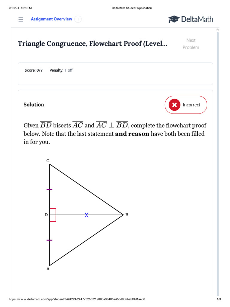 DeltaMath Student Application | PDF | Triangle Geometry | Euclidean ...