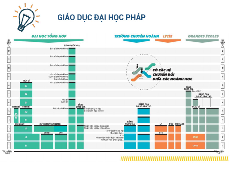Schéma Des Études Supérieures - 2021 | PDF