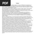 El Hombre de Tepexpan: Historia y Hallazgos | PDF
