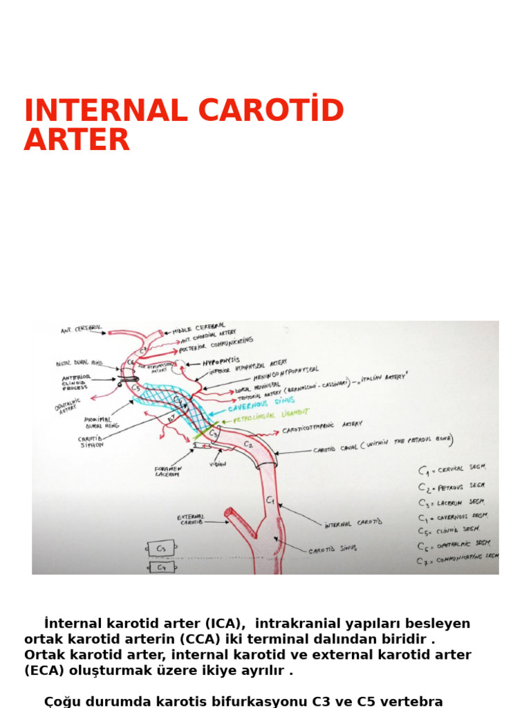 ICA (1) X | PDF