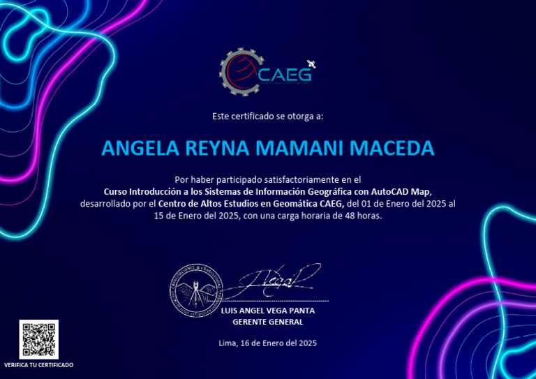 Angela Reyna Mamani Maceda-1 | PDF