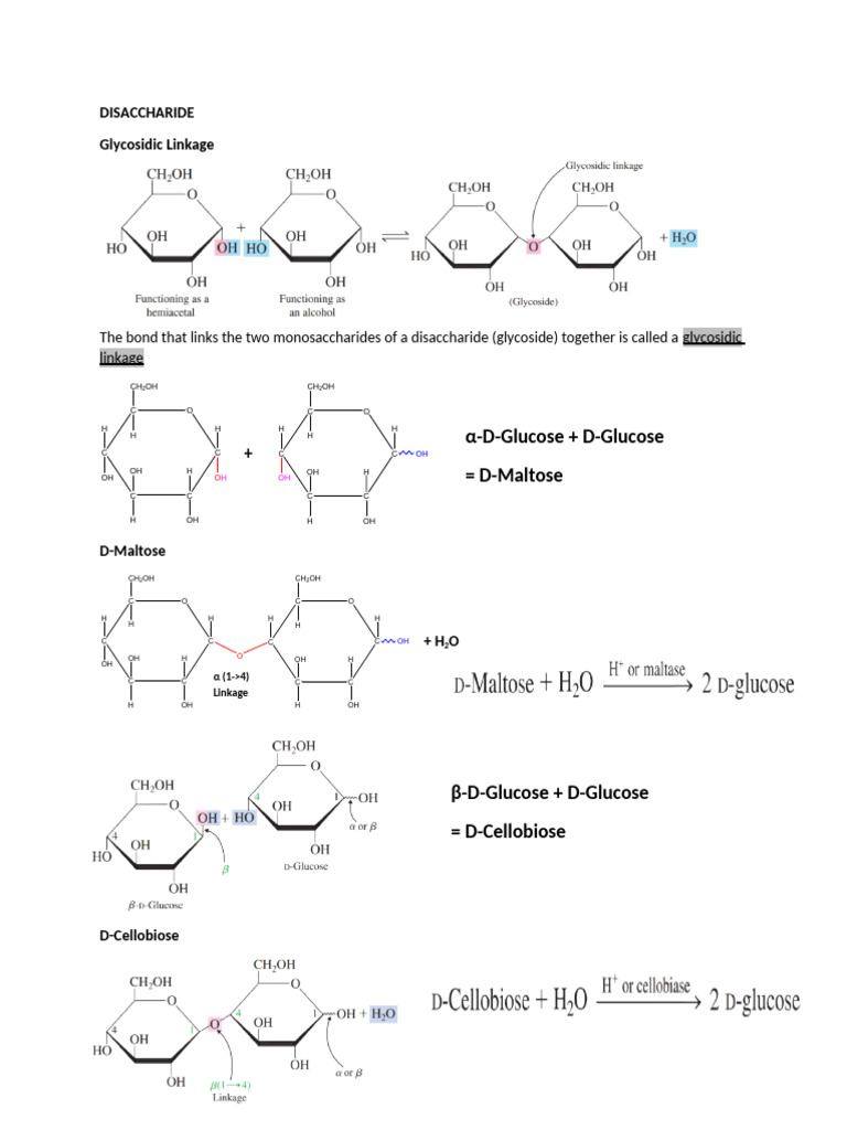 Disaccharides and Oligosaccharides Overview | PDF | Carbohydrate ...