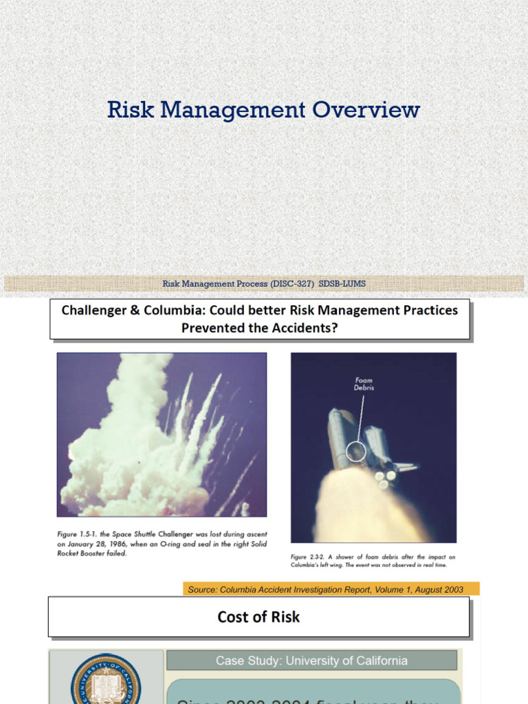 01 Risk Management Overview | PDF