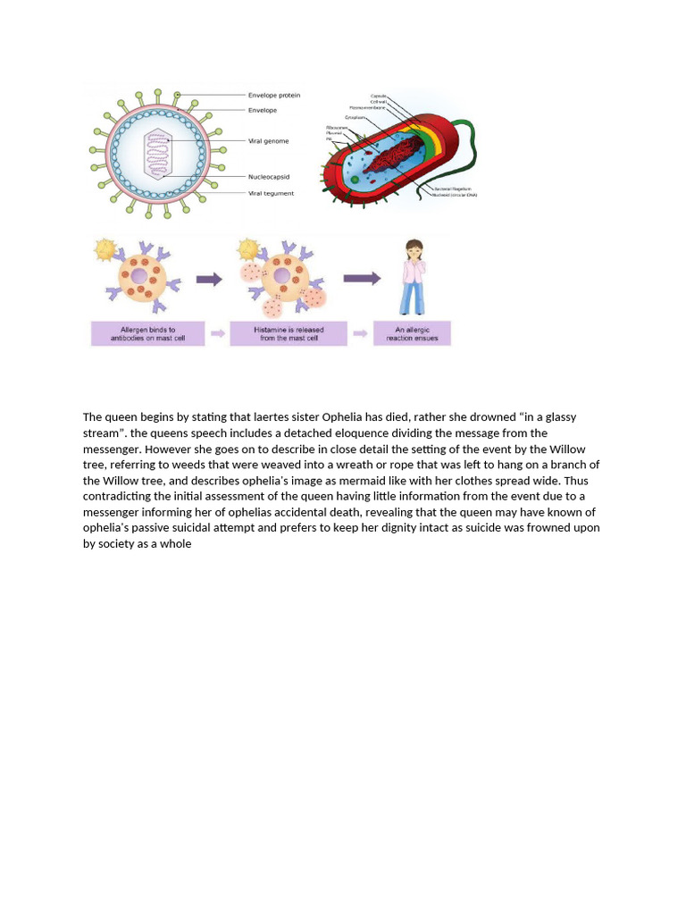 bio diagrams | PDF