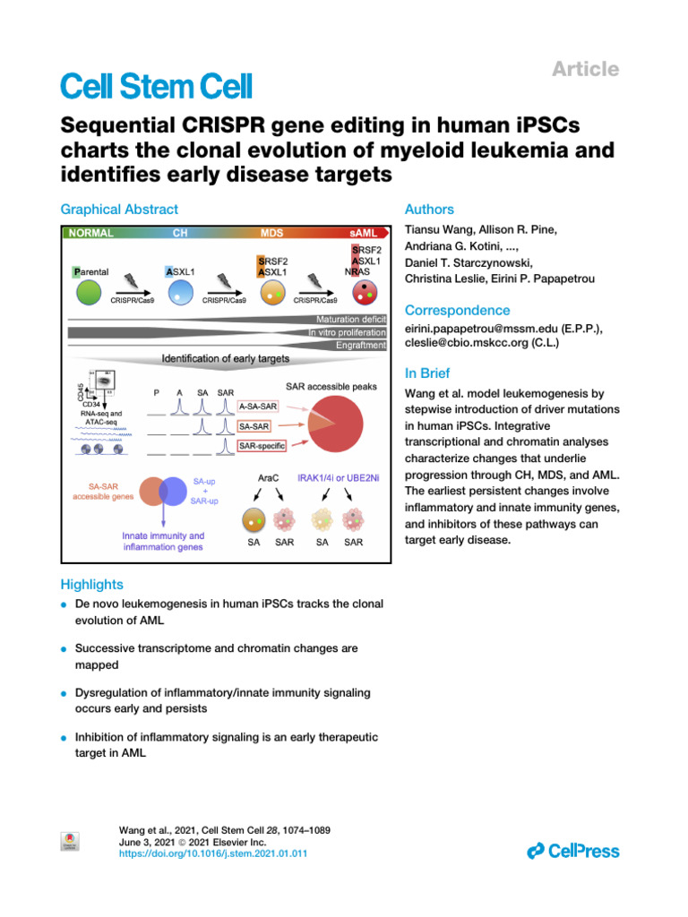CRISPR iPSC Model for AML Evolution | PDF | Hematopoietic Stem Cell ...
